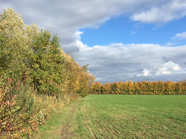 Ausflugsziele rund um Redwitz an der Rodach - Die Top 20 | Komoot