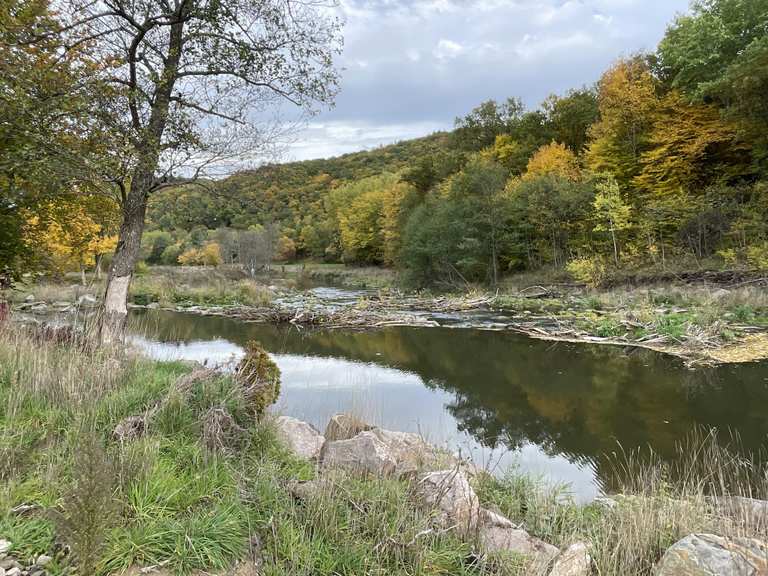 Los mejores sitios que ver en Dorsel - Top 20 | Komoot