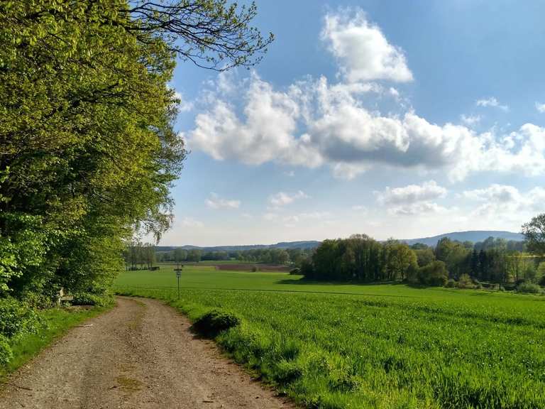 Die 10 schönsten Wanderungen rund um Hasbergen | Komoot