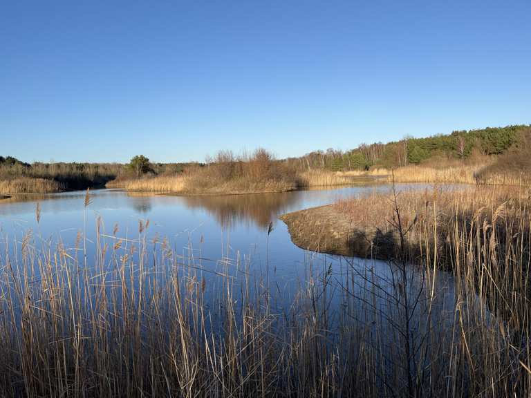 Die 10 schönsten Wanderungen rund um Hassel | Komoot