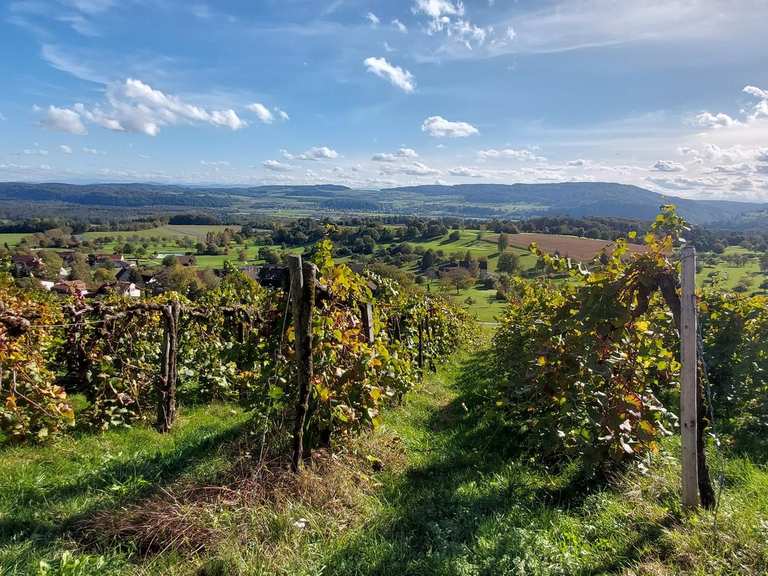 Ausflugsziele rund um Lottstetten - Die Top 20 | Komoot