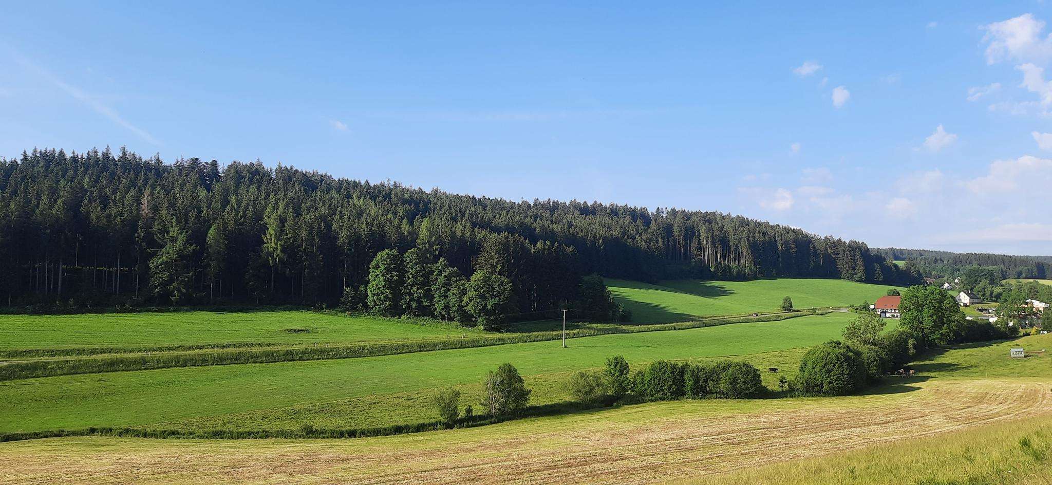 De mooiste bezienswaardigheden rond St. Georgen im Schwarzwald - Top 20 ...