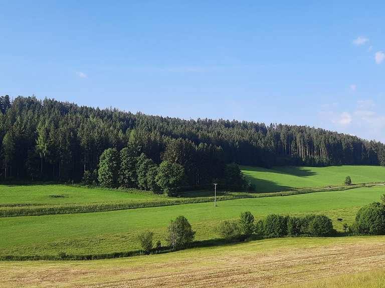 Ausflugsziele rund um St. Georgen im Schwarzwald - Die Top 20 | Komoot