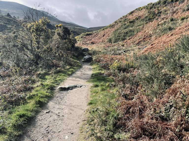 Top 10 Hikes and Walks in Newry And Mourne | Komoot