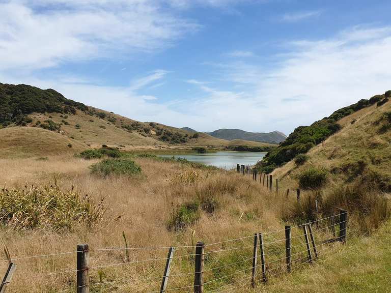 Die 7 schönsten Wanderungen im Westhaven (Whanganui Inlet) Wildlife ...