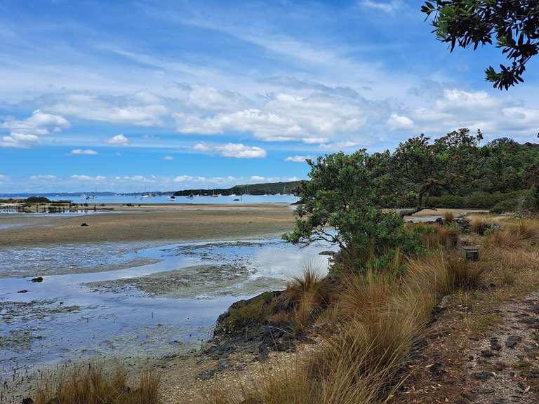 Top 10 Most Beautiful MTB Trails in Rangitoto Island Scenic Reserve ...