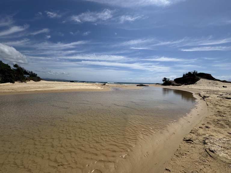 Top 5 Hikes and Walks in Bongil Bongil National Park | Komoot