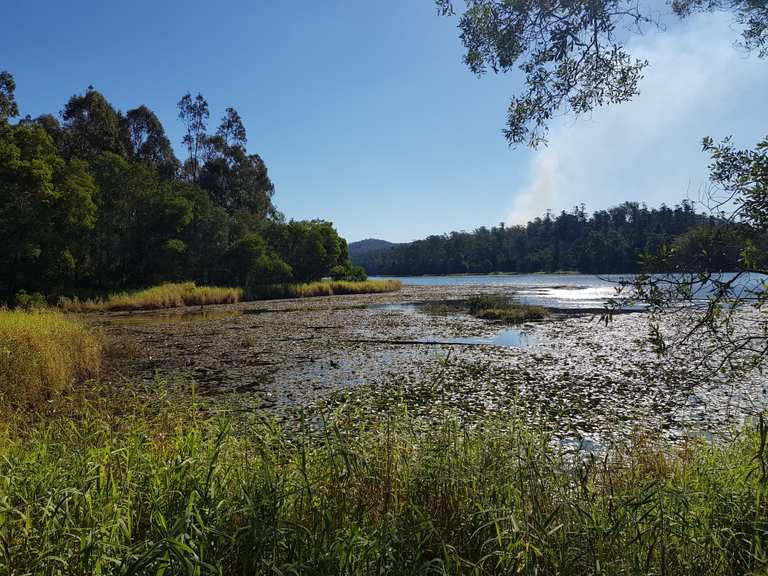 Top 10 Hikes and Walks in D'Aguilar National Park | Komoot