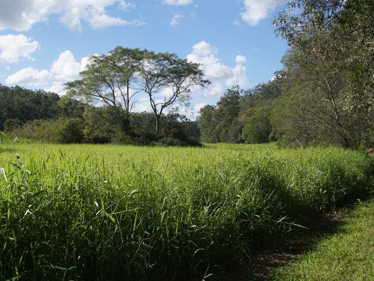 Lista 9 najlepszych tras biegowych w rezerwacie Bendering Nature ...