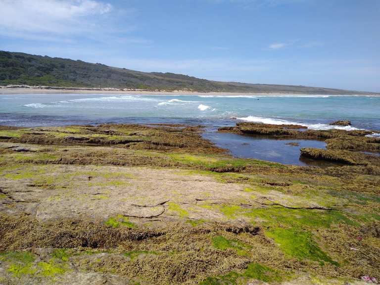 Die 9 schönsten Laufstrecken in der Anglesea Heath Alcoa Agreement Area ...