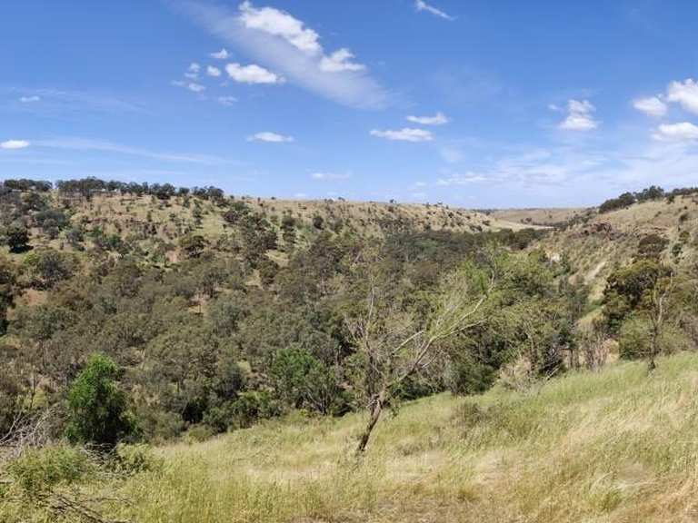 Top 8 Bike Rides and Cycling Routes in Woodlands Historic Park | Komoot
