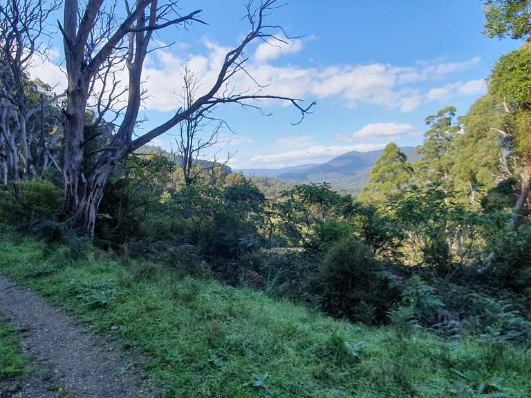Top 9 Hikes and Walks in Yarra Ranges National Park | Komoot