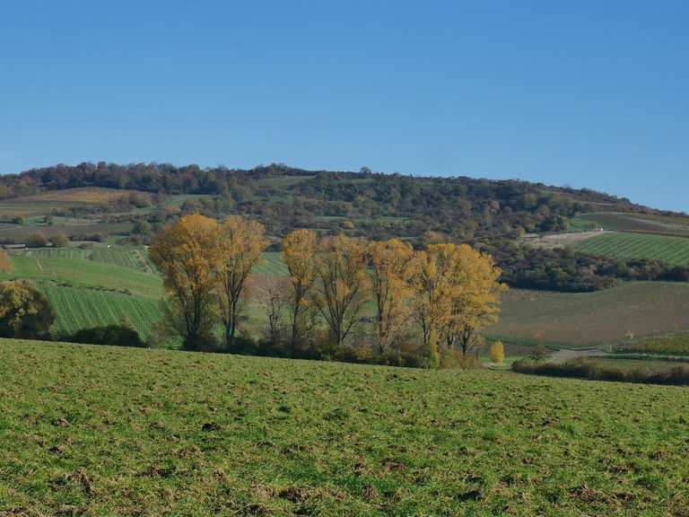 Los mejores sitios que ver en Badenheim - Top 20 | Komoot