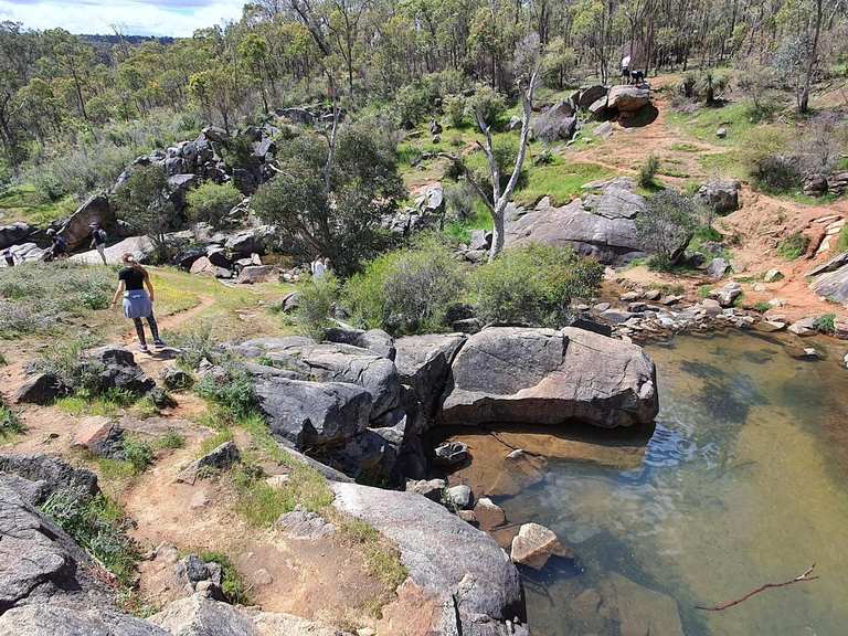 Top 9 Hikes and Walks in Kalamunda National Park | Komoot