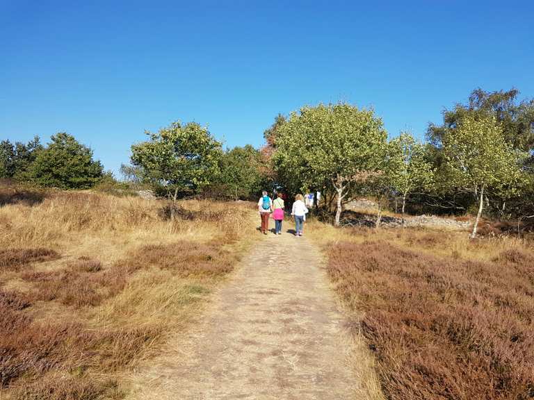 Die 10 schönsten Wanderungen rund um Flonheim | Komoot