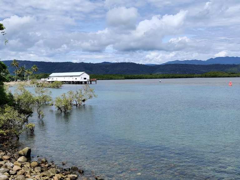 Top 9 Hikes and Walks in Mount Lewis National Park | Komoot