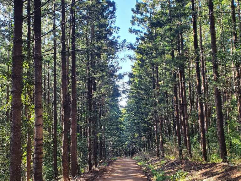 Top 5 Hikes and Walks in Mapleton National Park | Komoot