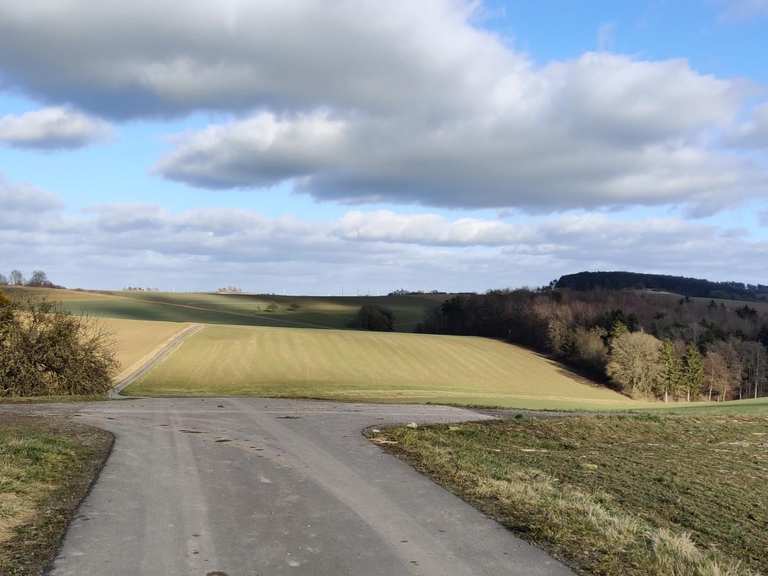 Ausflugsziele rund um Rieschweiler-Mühlbach - Die Top 20 | Komoot