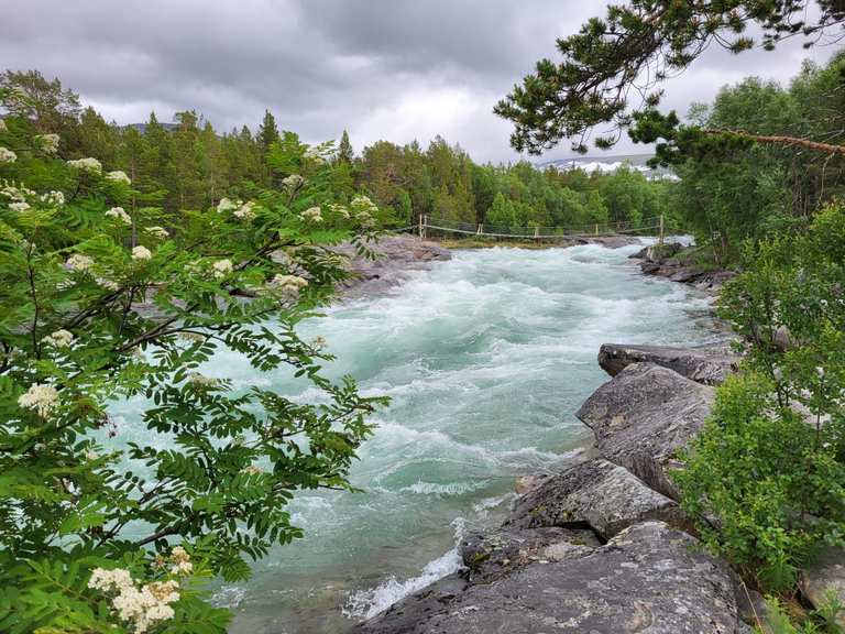 Die 9 schönsten Wanderungen im Dypen Naturreservat | Komoot