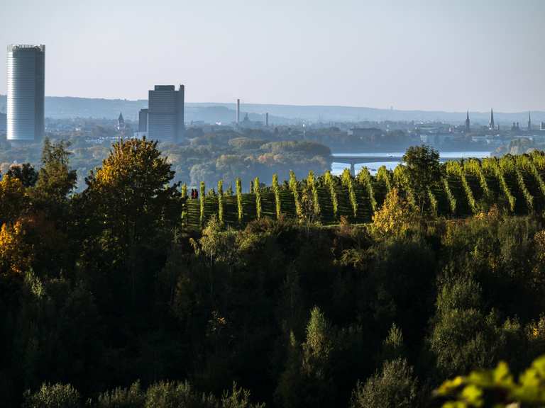Top 10 Hikes and Walks around Bonn | Komoot