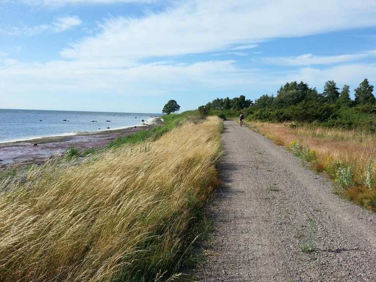 9 trilhas e caminhadas imperdíveis em Stormyrskogen | komoot