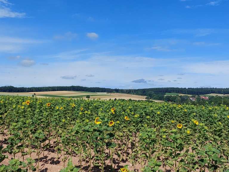 Ausflugsziele rund um Sippersfeld - Die Top 20 | Komoot