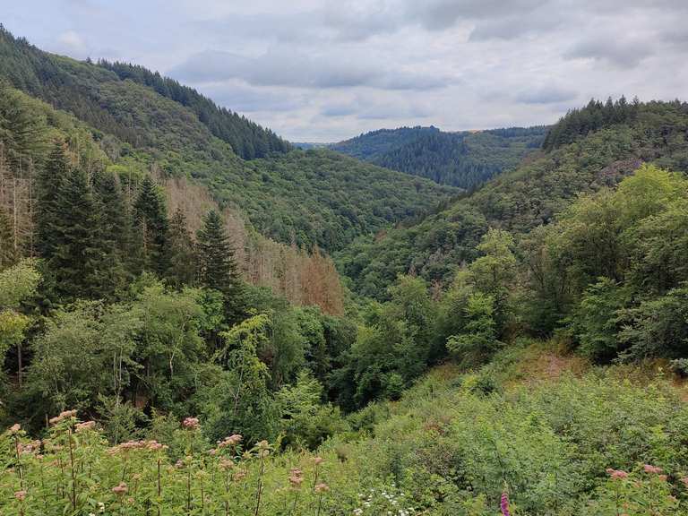 De mooiste bezienswaardigheden rond Heidenburg - Top 20 | Komoot