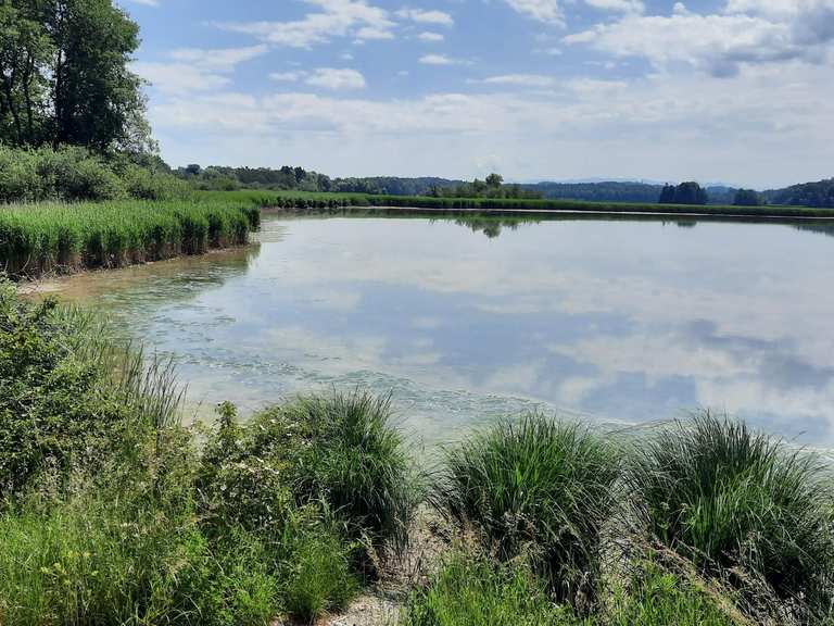 Die 10 schönsten Wanderungen im Seehamer See Mit Wattersdorfer Moor ...