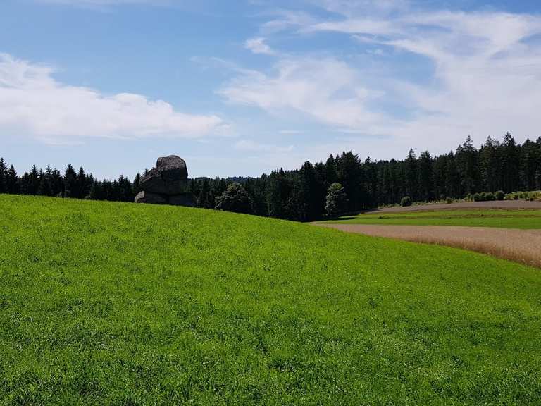 Die 10 schönsten Wanderungen im Meloner Au | Komoot