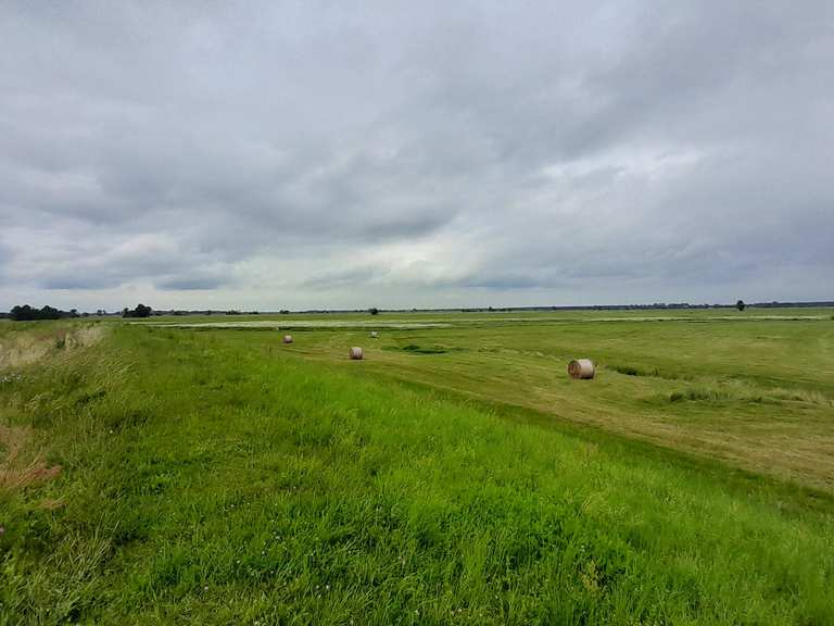 Die 9 schönsten Wanderungen im Alte Elbe Bei Bösewig | Komoot