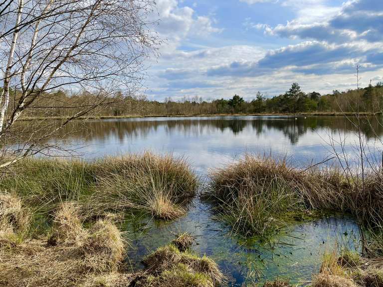 Top 10 Hikes and Walks in Venner Moor | Komoot