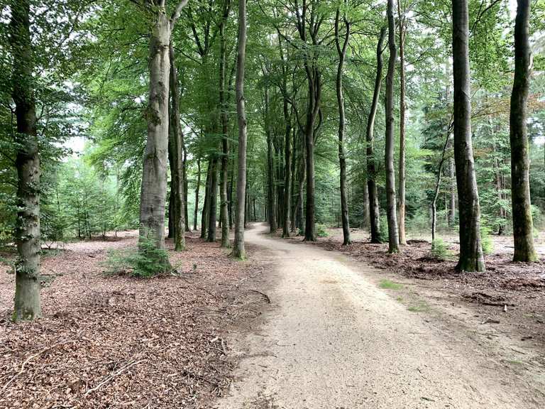 De mooiste bezienswaardigheden in Sysselt - Top 17 | Komoot