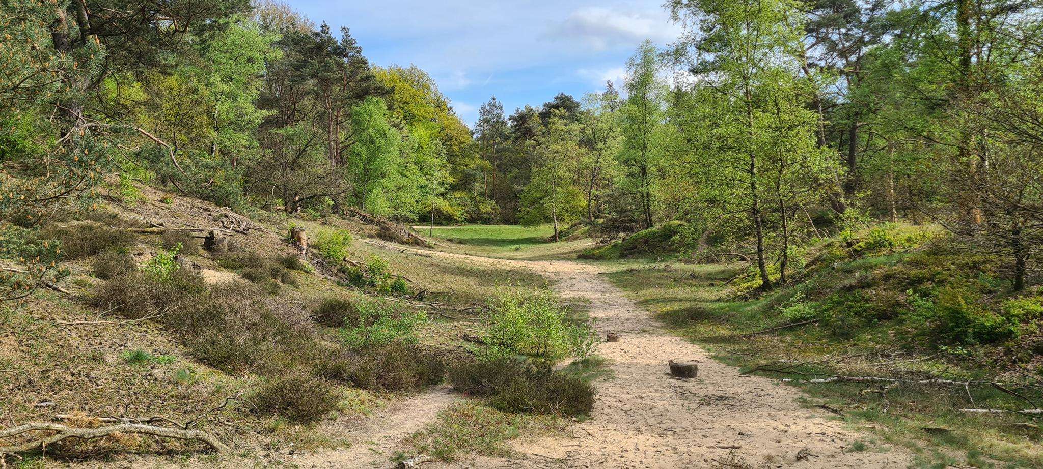 De 10 mooiste wandelroutes in het Rozendaalse Veld | Komoot