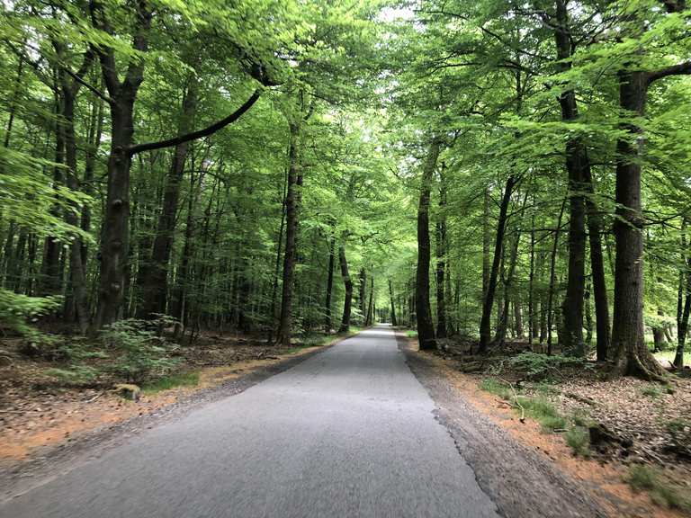 De mooiste bezienswaardigheden in Leuvenum - Top 13 | Komoot