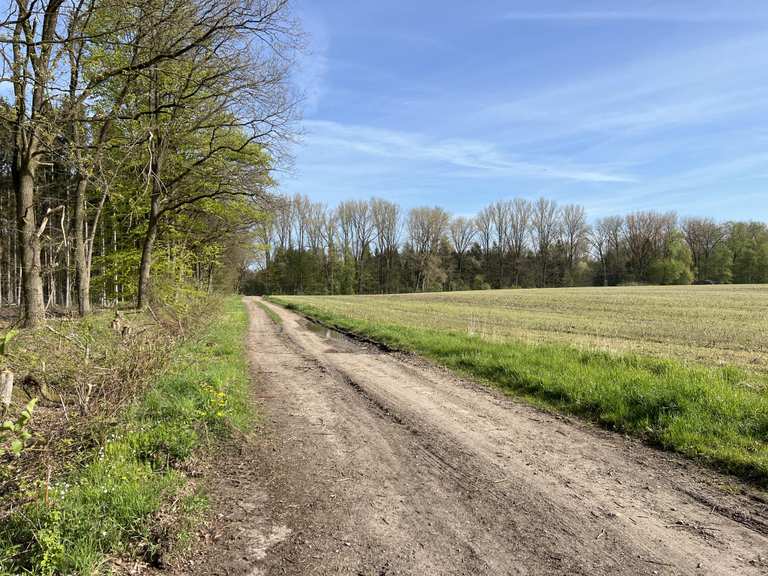 Os 10 melhores Percursos de ciclismo e cicloturismo em Nsg Wurmberg ...