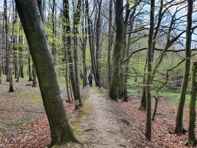 Top 8 Hikes and Walks in Endern | Komoot