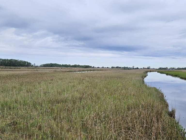 Die 10 schönsten Fahrradtouren im Nieuwkoopse Plassen & De Haeck | Komoot
