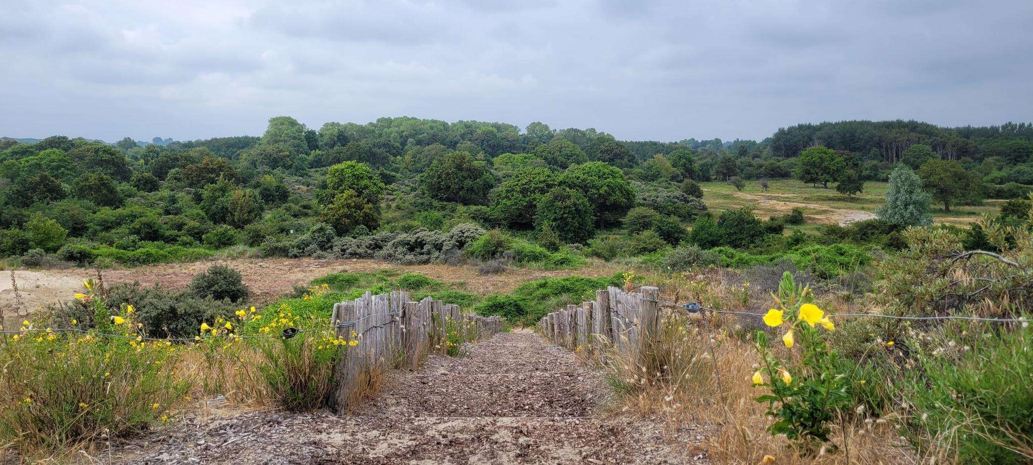 De 10 mooiste wandelroutes in Natuurreservaat De Westhoek | Komoot