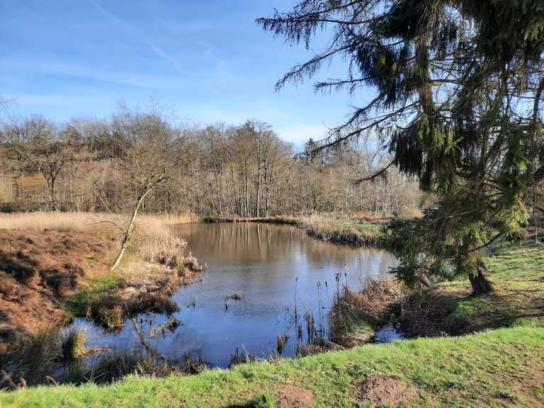 Die 10 schönsten Wanderungen im Provinciaal Domein De Palingbeek | Komoot