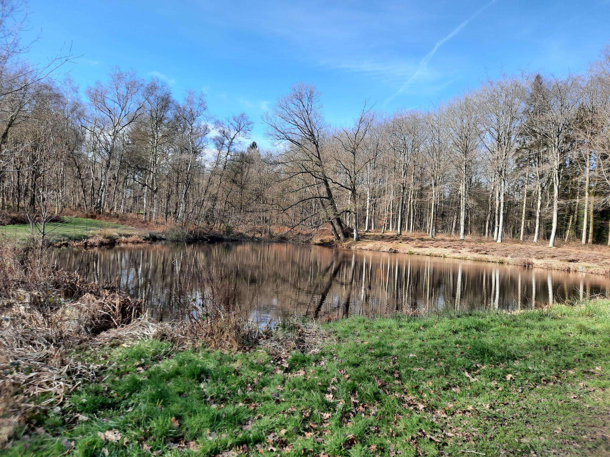 De mooiste bezienswaardigheden in Provinciaal Domein De Palingbeek ...