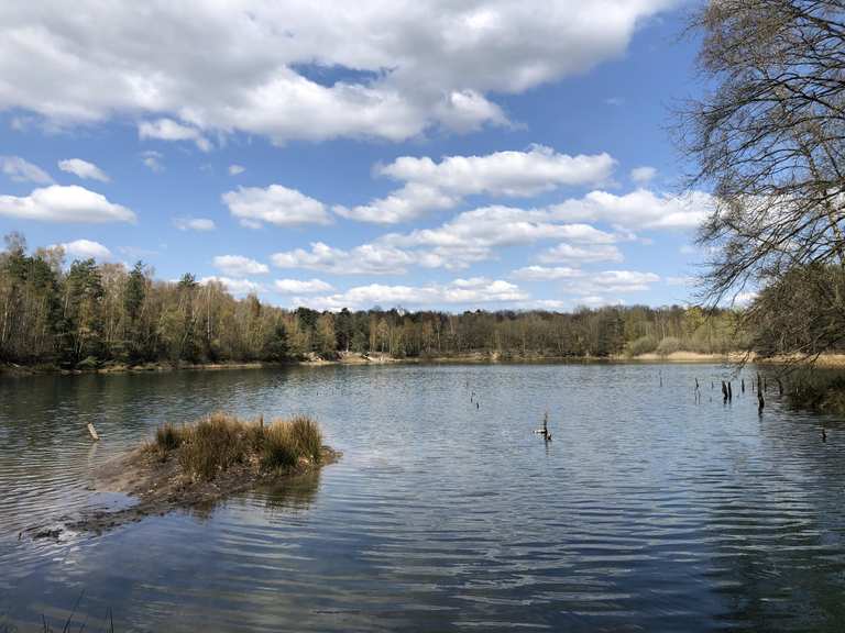 De 10 mooiste wandelroutes in Natuurreservaat Eksterheide En Omgeving ...