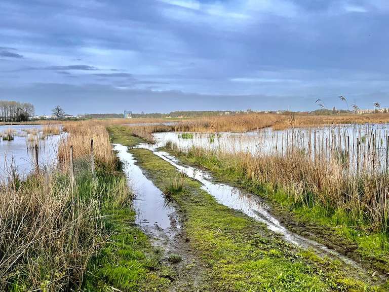 De 10 mooiste wandelroutes in Polder Van Kruibeke, Bazel En Rupelmonde ...