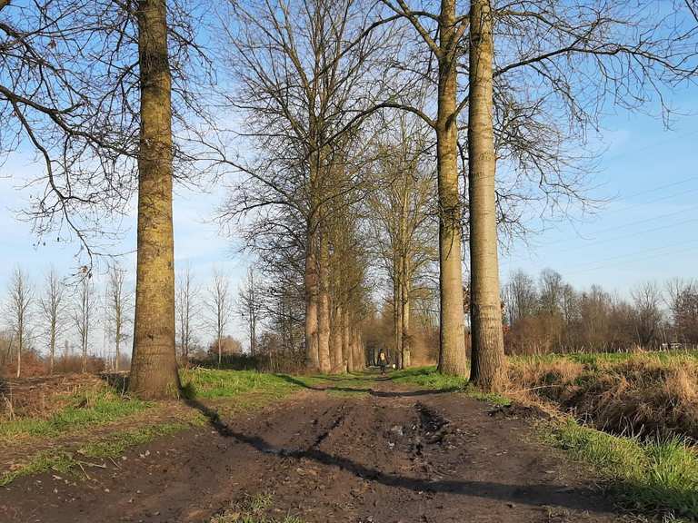 De mooiste bezienswaardigheden in Het Moer Bij Eikevliet En De Grote ...