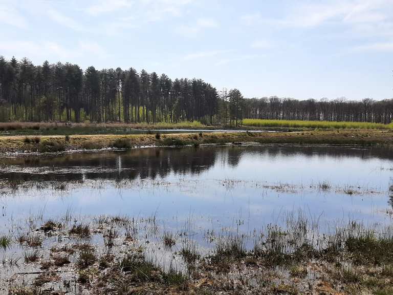 De 10 mooiste wandelroutes in Averbode Bos En Heide | Komoot
