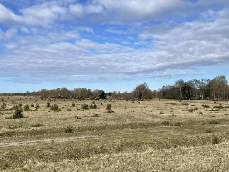 Die 10 schönsten Fahrradtouren im Groote Heide | Komoot