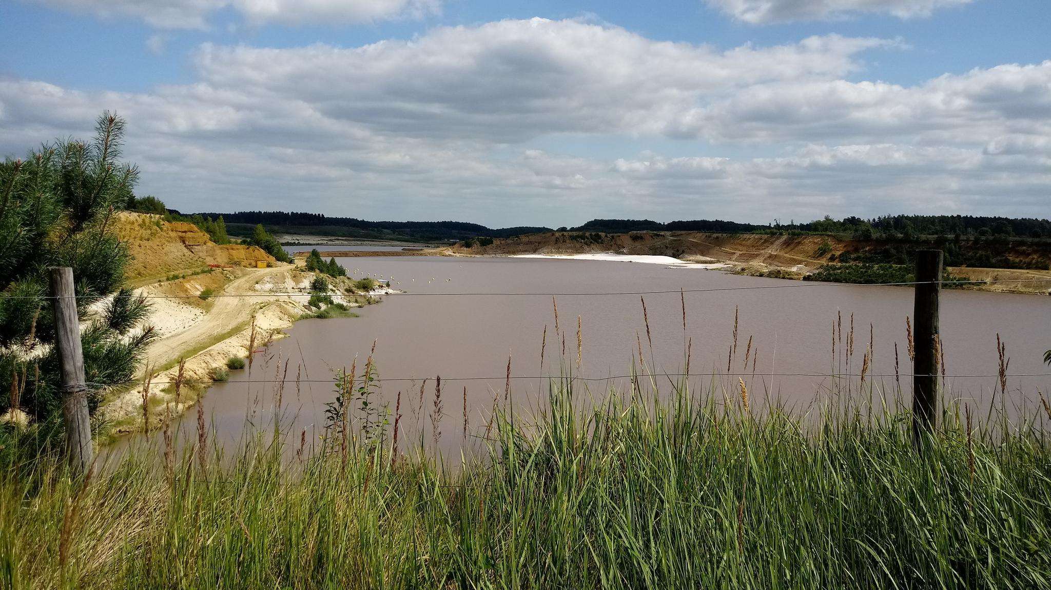 De 10 mooiste wandelroutes in Vlaams Natuurreservaat Mechelse Heide ...