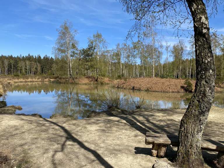 10 trilhas de corrida imperdíveis em Naturschutzgebiet Untere ...