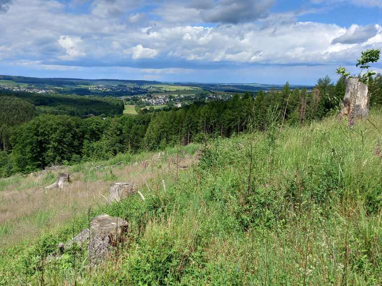 Die 10 schönsten Wanderungen im Oberes Wiedtal | Komoot