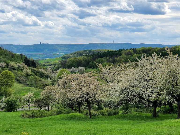 Attractions and Places To See in Gipskarstlandschaft Questenberg - Top ...