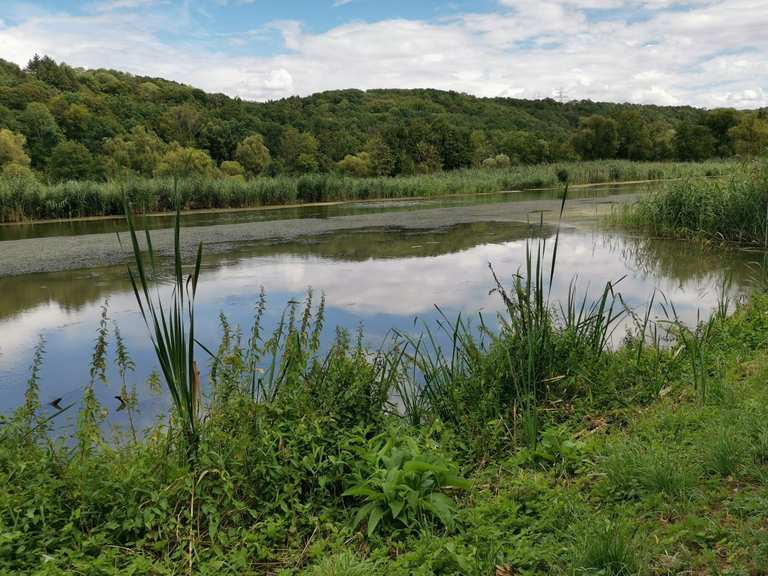 Die 10 schönsten Wanderungen im Vogelhalde Sindringen-Ohrnberg | Komoot